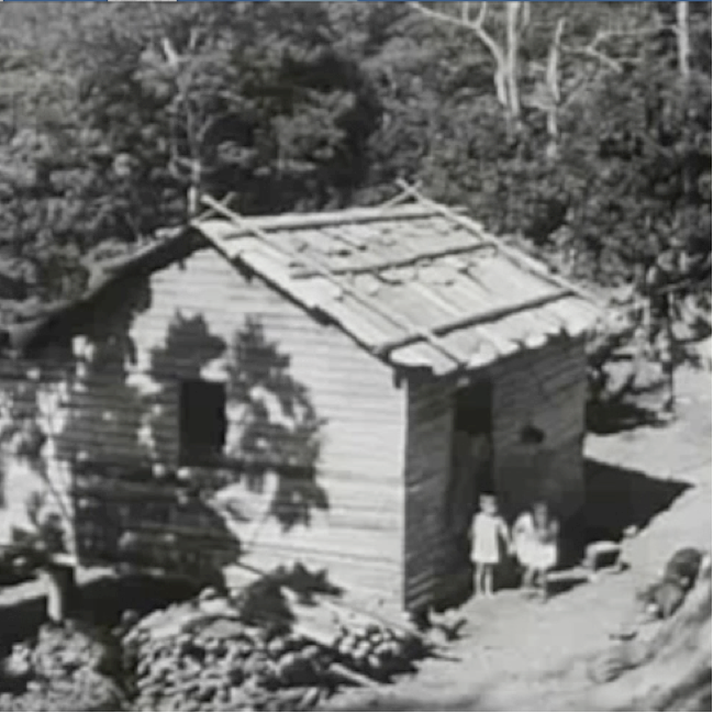 Democracy at Work in Rural Puerto Rico - U.S. Department of Agriculture ...