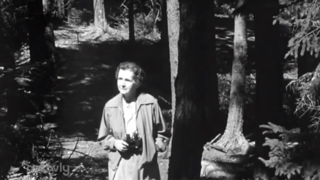 Rachel Carson - A History for Kids - TeachRock